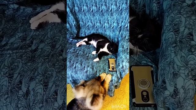 Поиграй со мною.