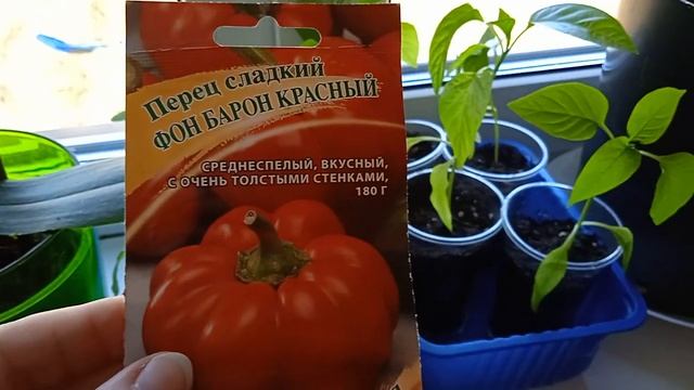 Перец сладкий часть 2.mp4