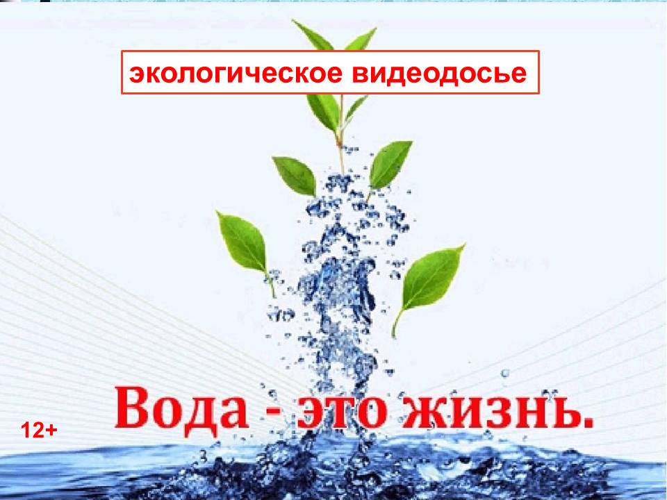 Экологическое видеодосье «Вода – это жизнь»