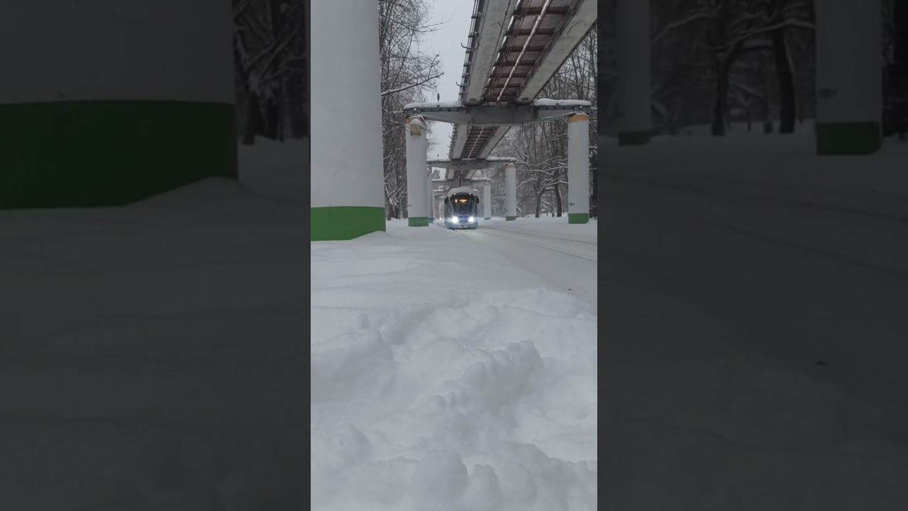 Трамвайное #Shorts