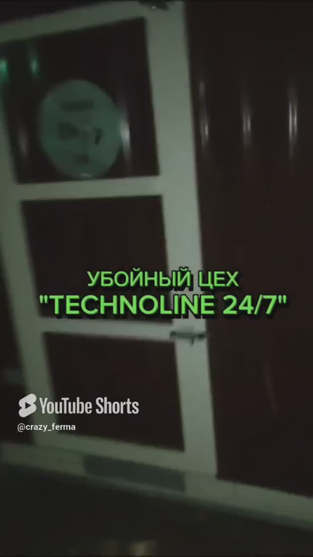 Убойный цех _TECHNOLINE 24_7_ #птицеводство #shorts