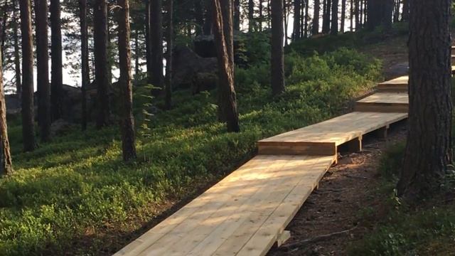 Русский Север 2021 Онежские Петроглифы_1080p.mp4