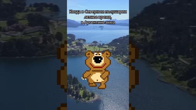 Мишка и сезоны