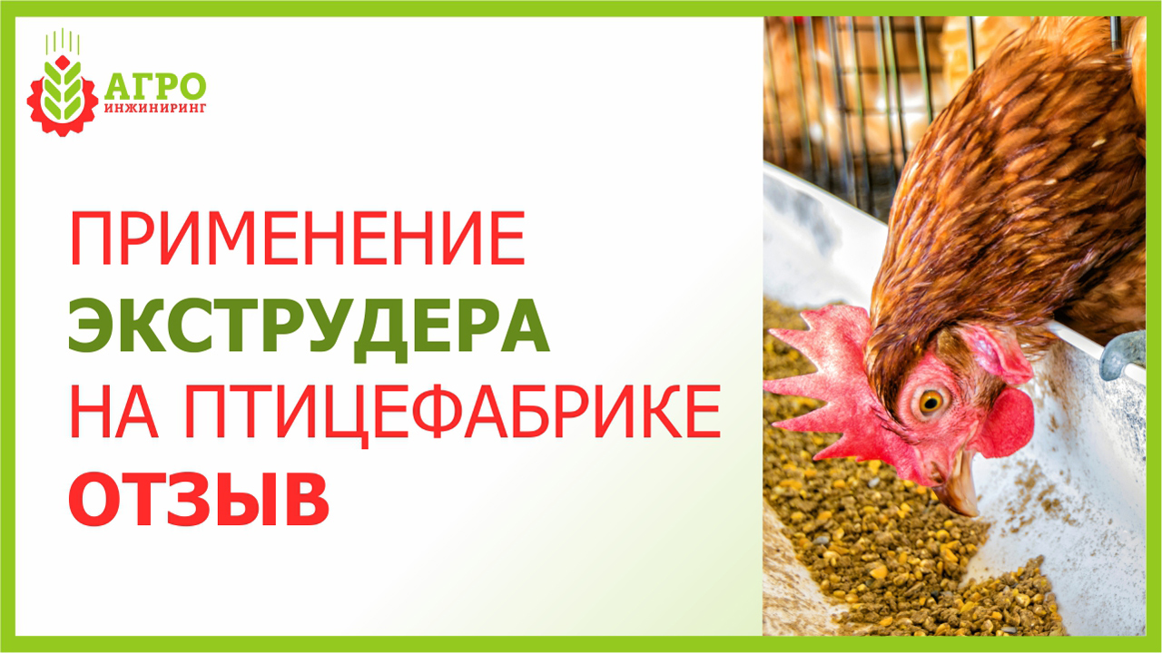 Открытие линии экструдирования на Новоеловской птицефабрике. Отзыв о компании и экструдерах.