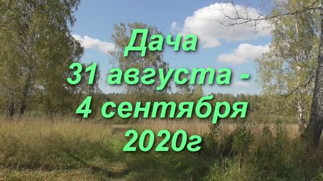 Страницы 2020 09 1. Серия 31-я.