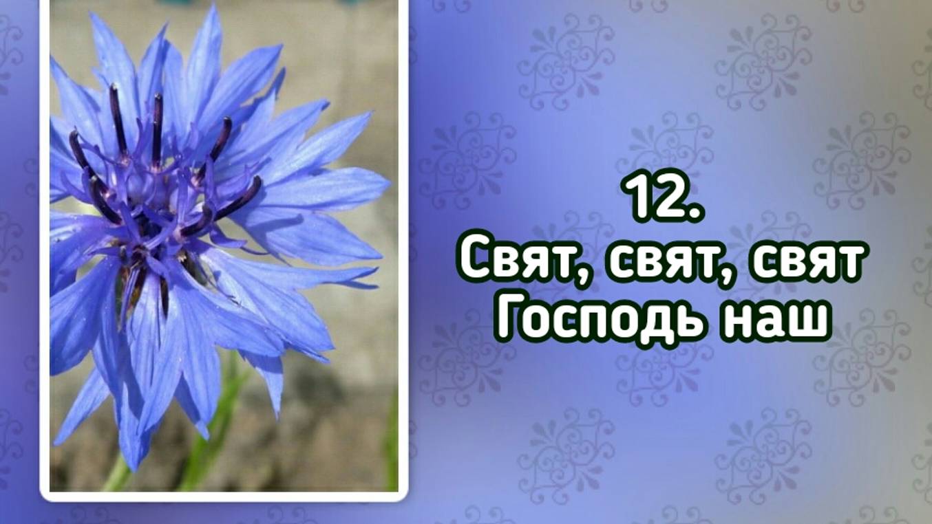 Гимны надежды 12 Свят, свят, свят Господь наш (-)