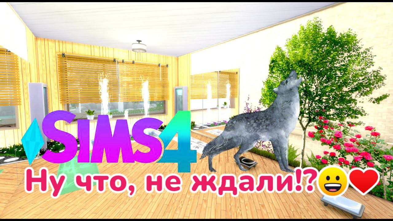 Уютный дом Хаймзона!Не ждали?