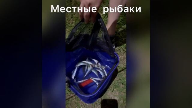 Абхазия страна тропических дождей (4 серия)