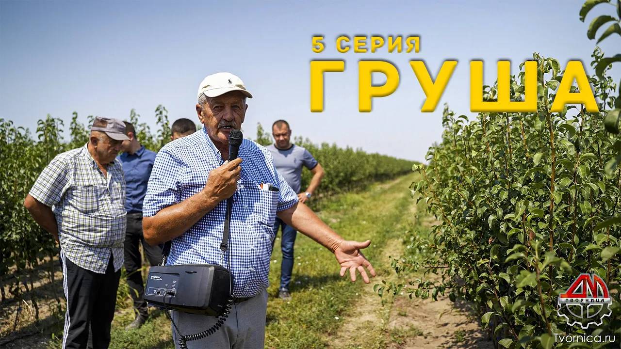 Груша, вкусная и выгодная культура. Семинар с.Малакановское, серия 5