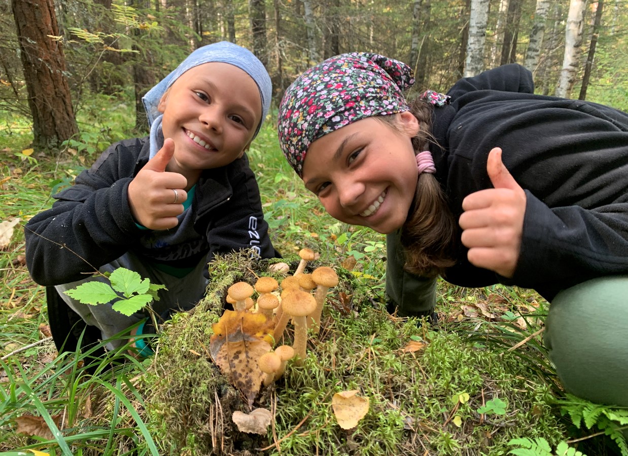 Деревня Никитино. Поездка за грибами - 2023г.