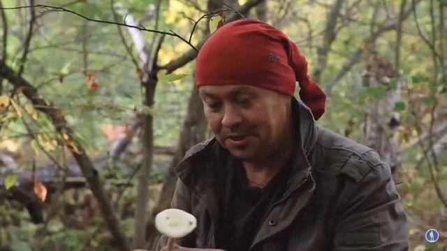Самый опасный гриб.mp4