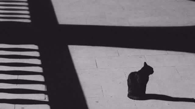 В комнате пустой