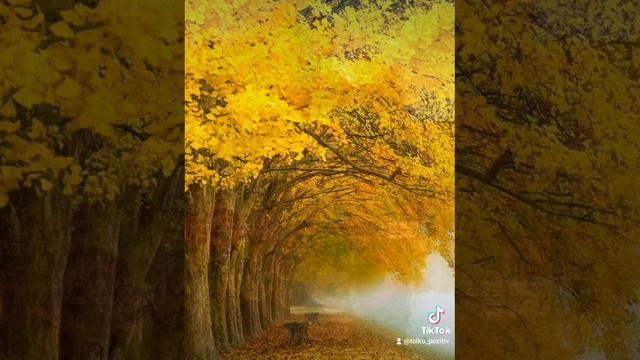 С днём рождения тебя именинник сентября!