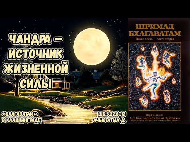 Чандра — источник жизненной силы. Ачьютатма д. ШБ.5.22.8–12