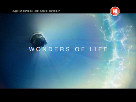 Чудеса жизни. Что такое жизнь? / What is Like?
