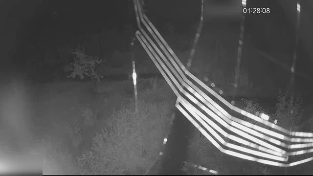 Паутина за 30 секунд