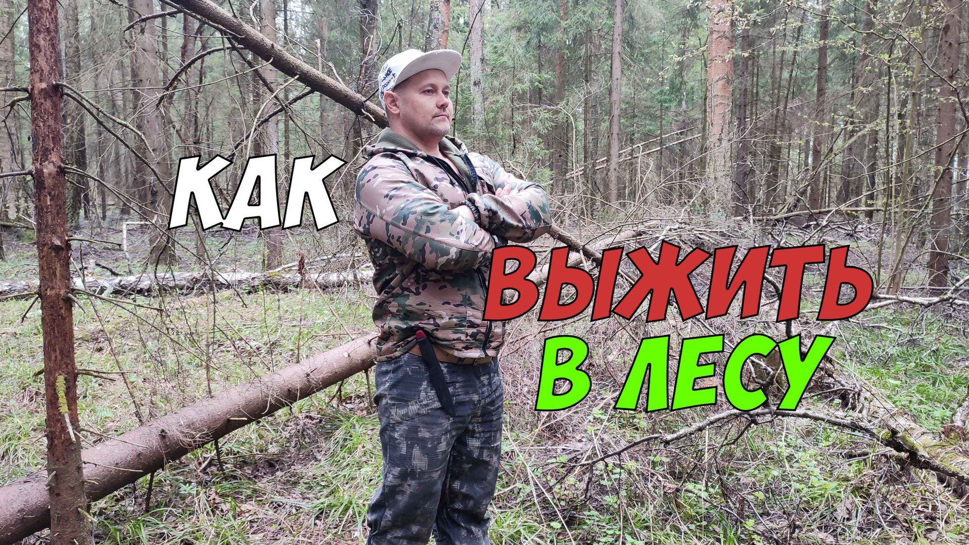 Как выжить и чем питаться в лесу?