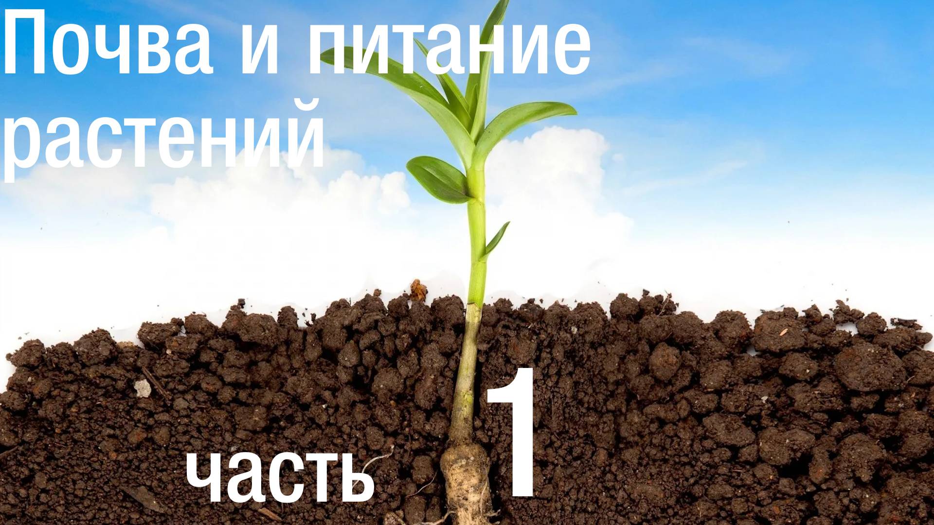 Почва и Питание Растений (часть 1)