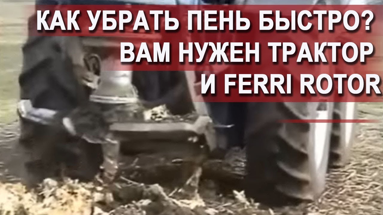 как убрать пень