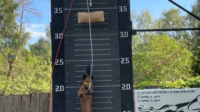 Jump'n'Gym Fest Кубок России ФКС РОО НКЛ. 16.06.2024 Москва