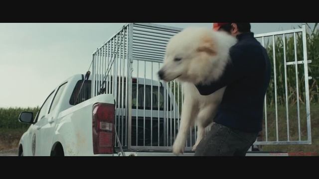 12) Белль и Себастьян Новое поколение (2023) Тизер (#Приключения #Семейный)