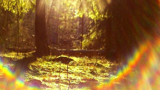 На свободу из тюрьмы трехмерной матрицы