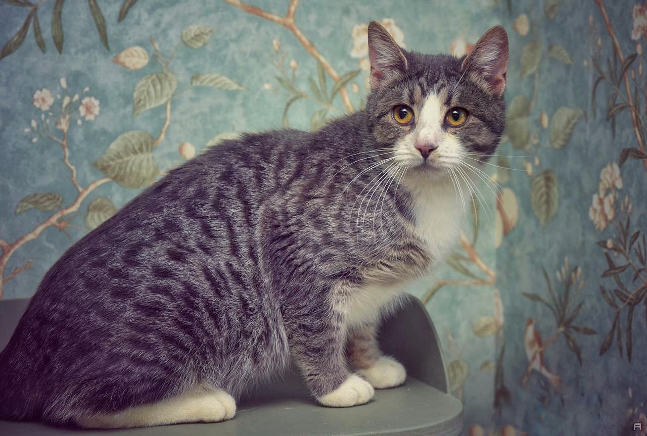 Дорога домой. ЕНИСЕЙ  и КИВИ.
#дорога_домой