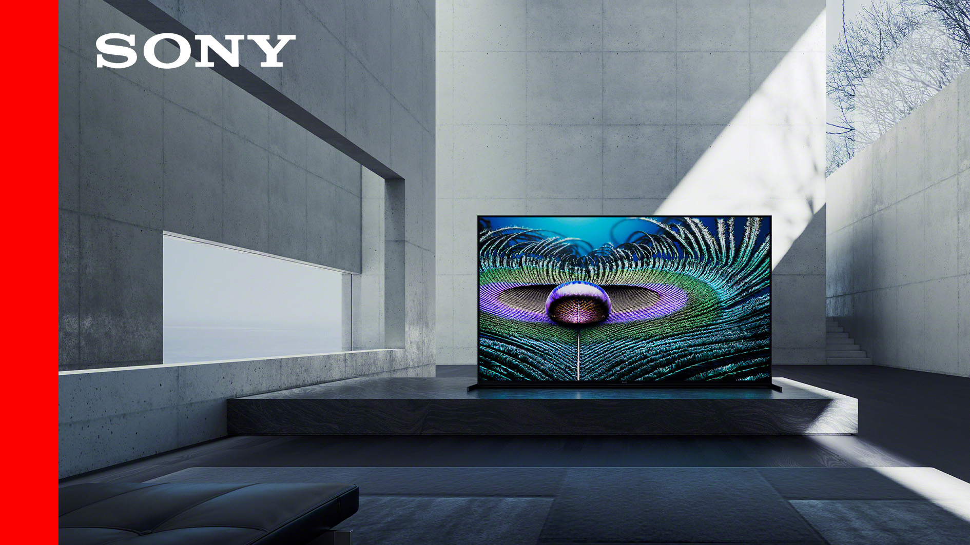 Sony BRAVIA XR серии Z9J.mp4