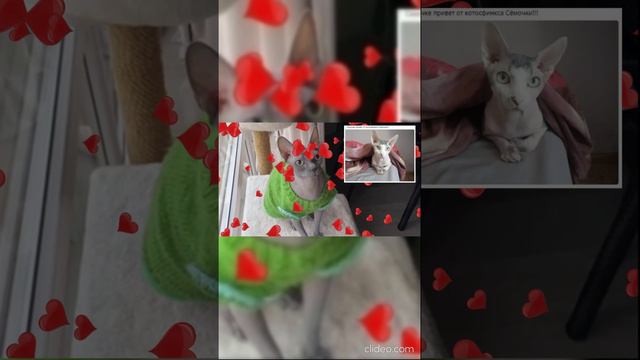 Смузя или смузи...