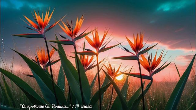 "Откровение Св. Иоанна..." / 14 ГЛАВА