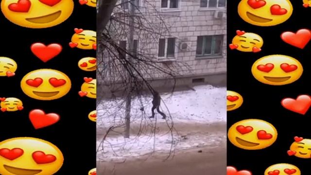 ? 10 января 2021 Если кто-то выжил..., я могу дать вам еду