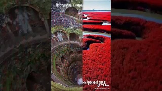 Чудеса природы