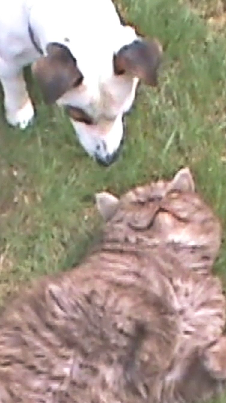 Ты зачем приходил-то?