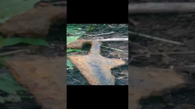 Интересный факт о приборном поиске в Карелии