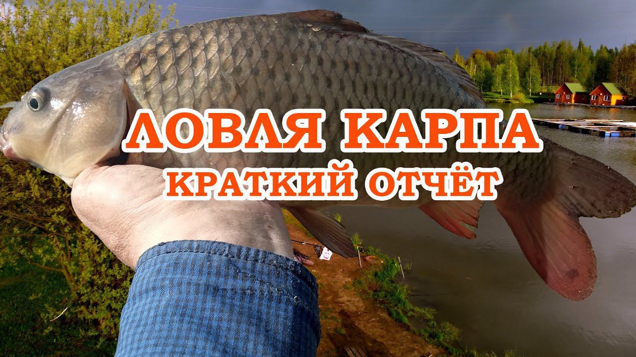 Ловля карпа в Лагуне
