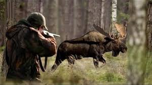 ОХОТА НА ЛОСЯ 2021.