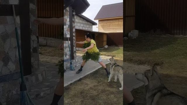 Сборник юмора и приколов ч7