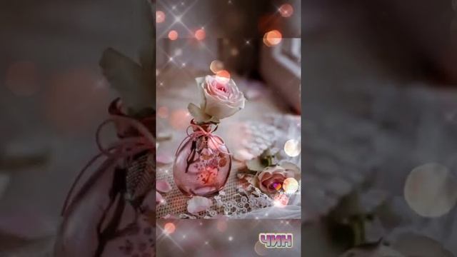 Доброе утро! Мира всем!.mp4