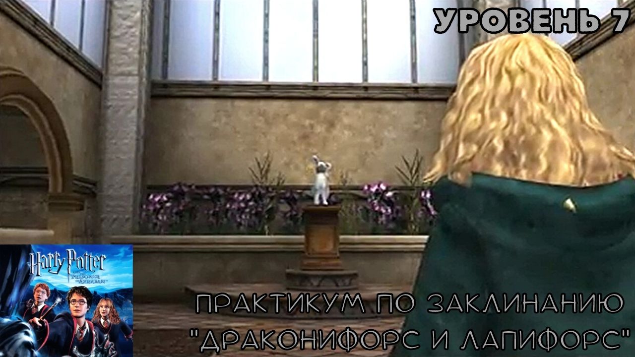 Harry Potter And The Prisoner Of Azkaban - Уровень 7 - Практикум по "Драконифорс и Лапифорс"
