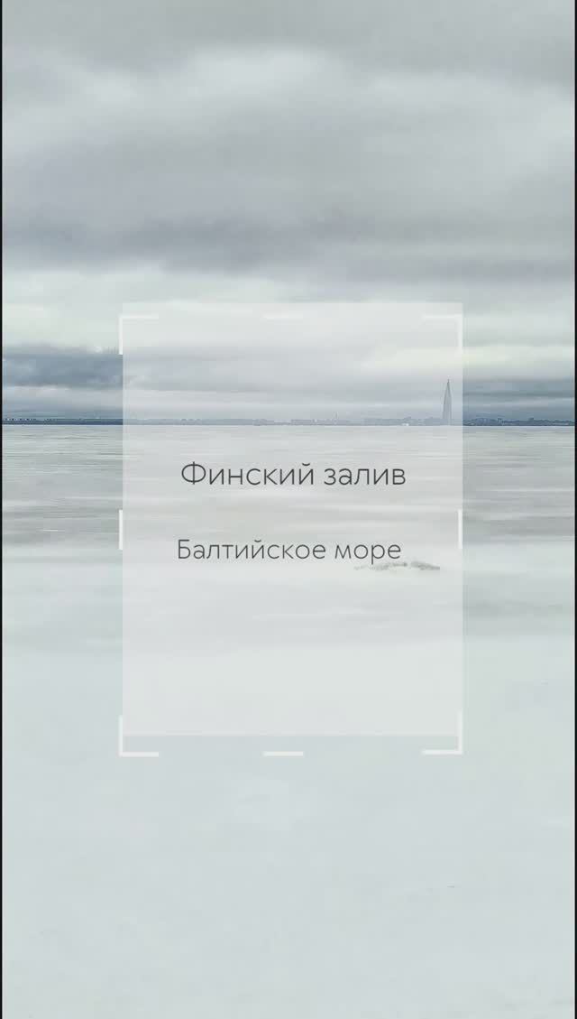 Финский залив зимой