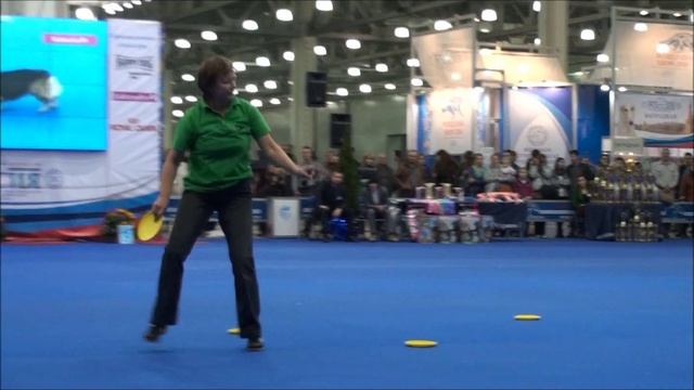 DEMO dog frisbee DiskHunters