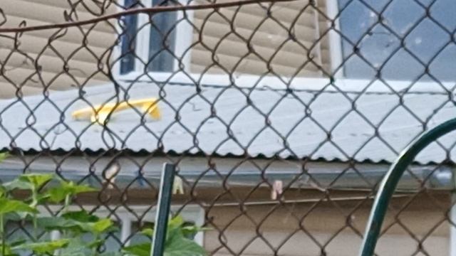 новости на июнь