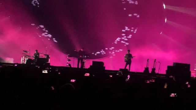 Дельфин. Любовь.