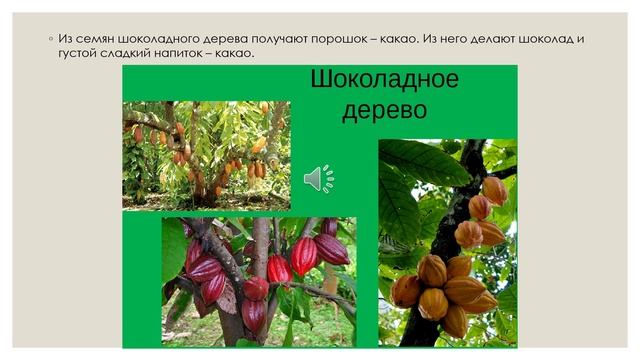 Растительный мир разных районов земли природоведение 6 кл.mp4