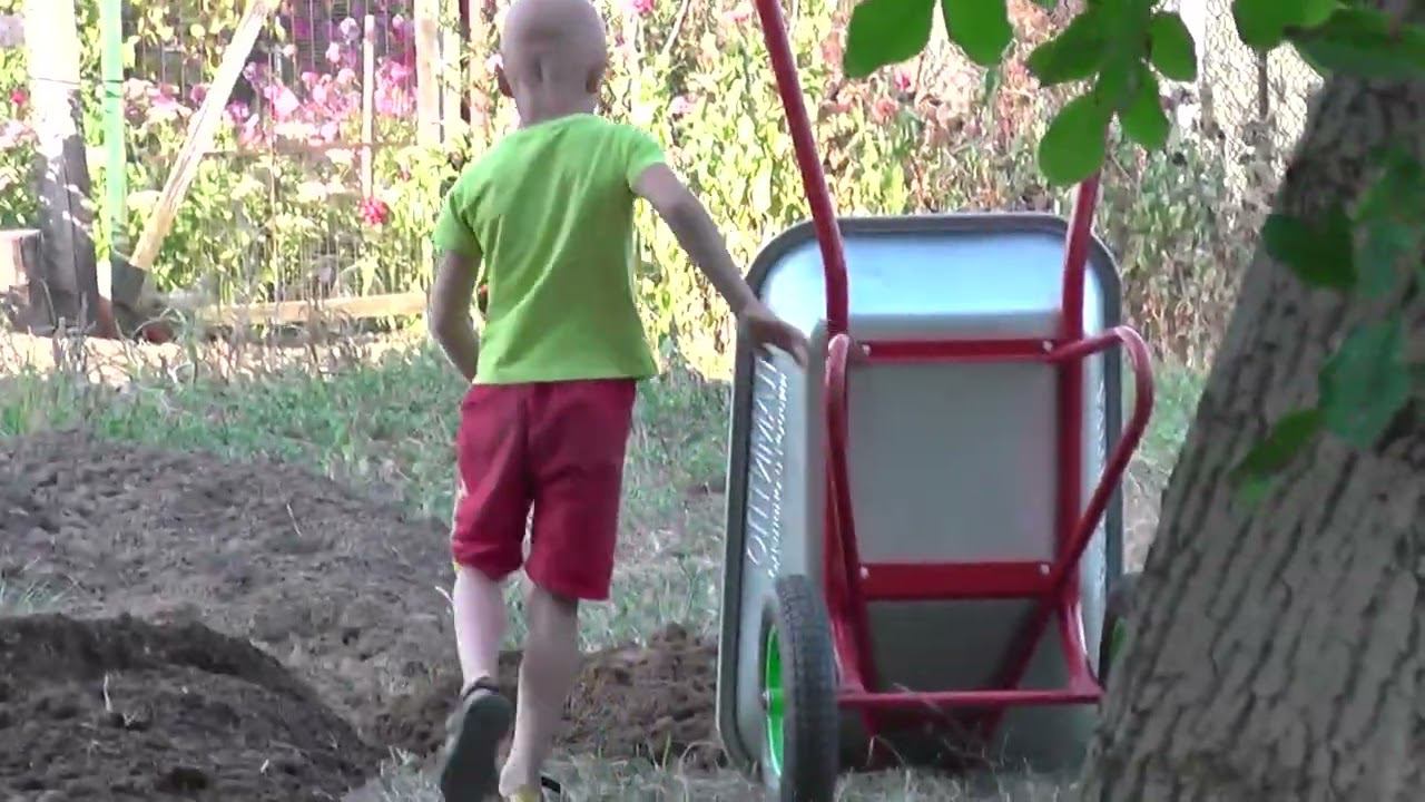 Папин помощник. (СЕРИАЛ-СЕПТИК 15 серия) / Dad's assistant.