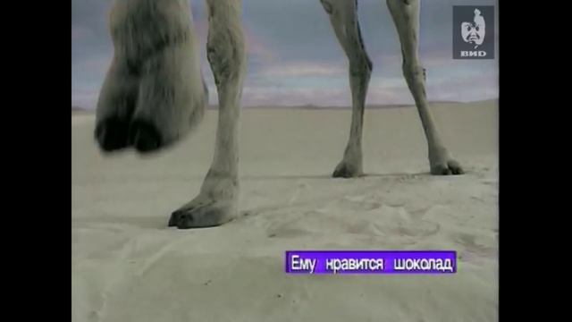Picnic 1995.mp4