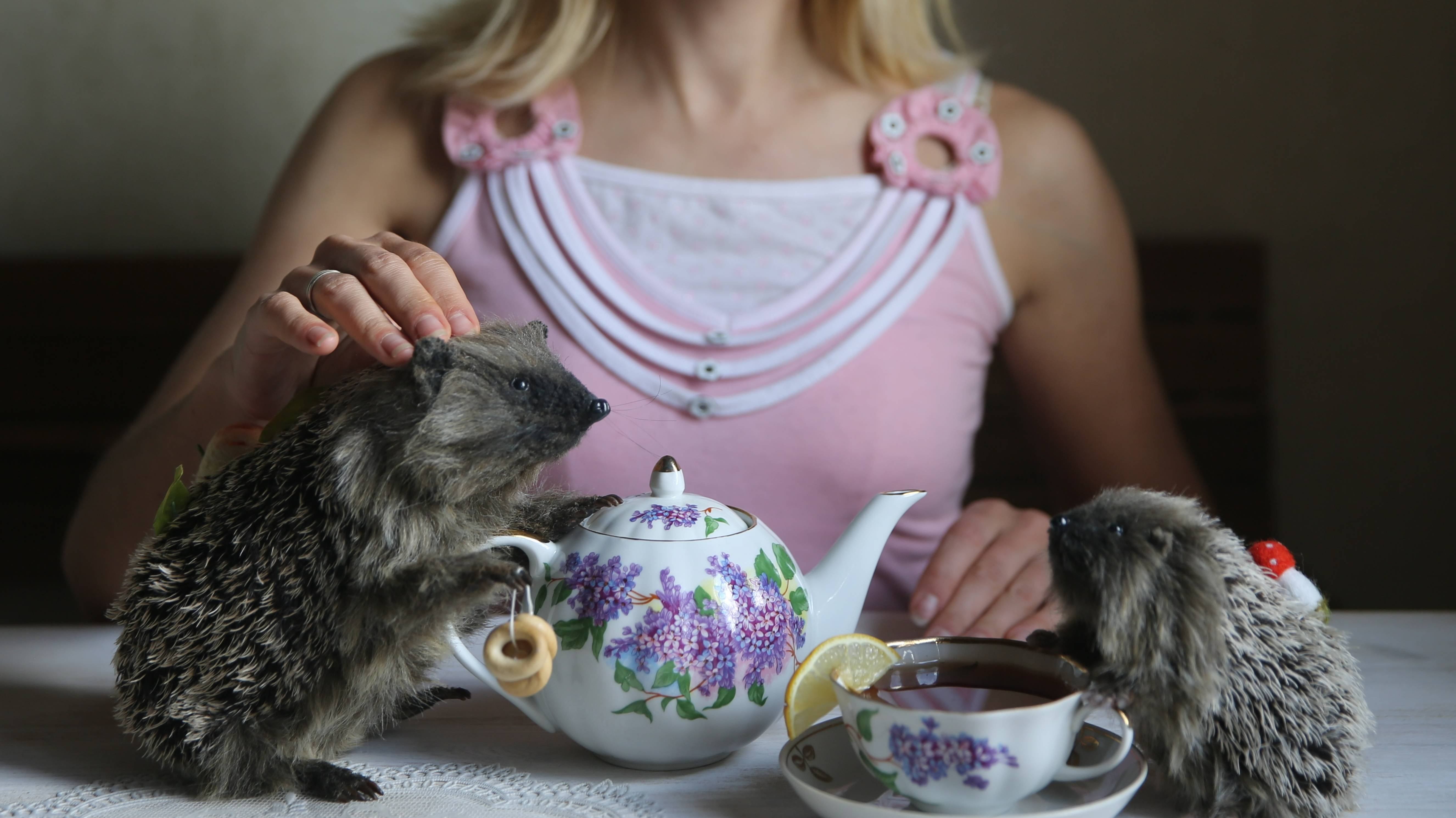 Семья Ежиков Мама Нюша и ежонок Пиф - реалистичные игрушки (работа выполнена на заказ) 2020 год