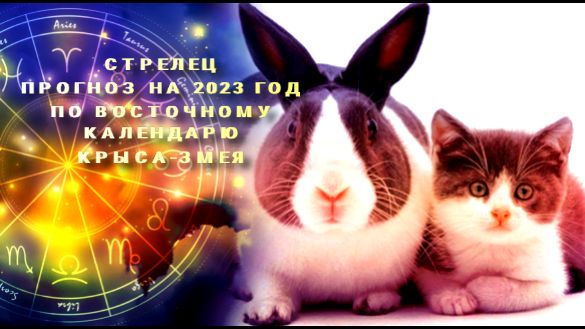 СТРЕЛЕЦ ПРОГНОЗ НА 2022 ГОД ПО ВОСТОЧНОМУ КАЛЕНДАРЮ (КРЫСА-ЗМЕЯ)