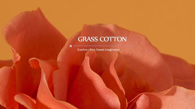 Фортепиано. Расслабляющая музыка для отдыха, неспешных прогулок, хобби.