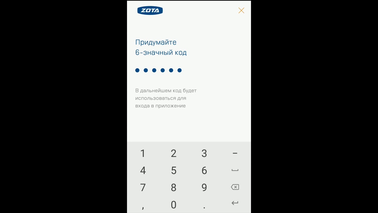 Приложение ZOTA Net